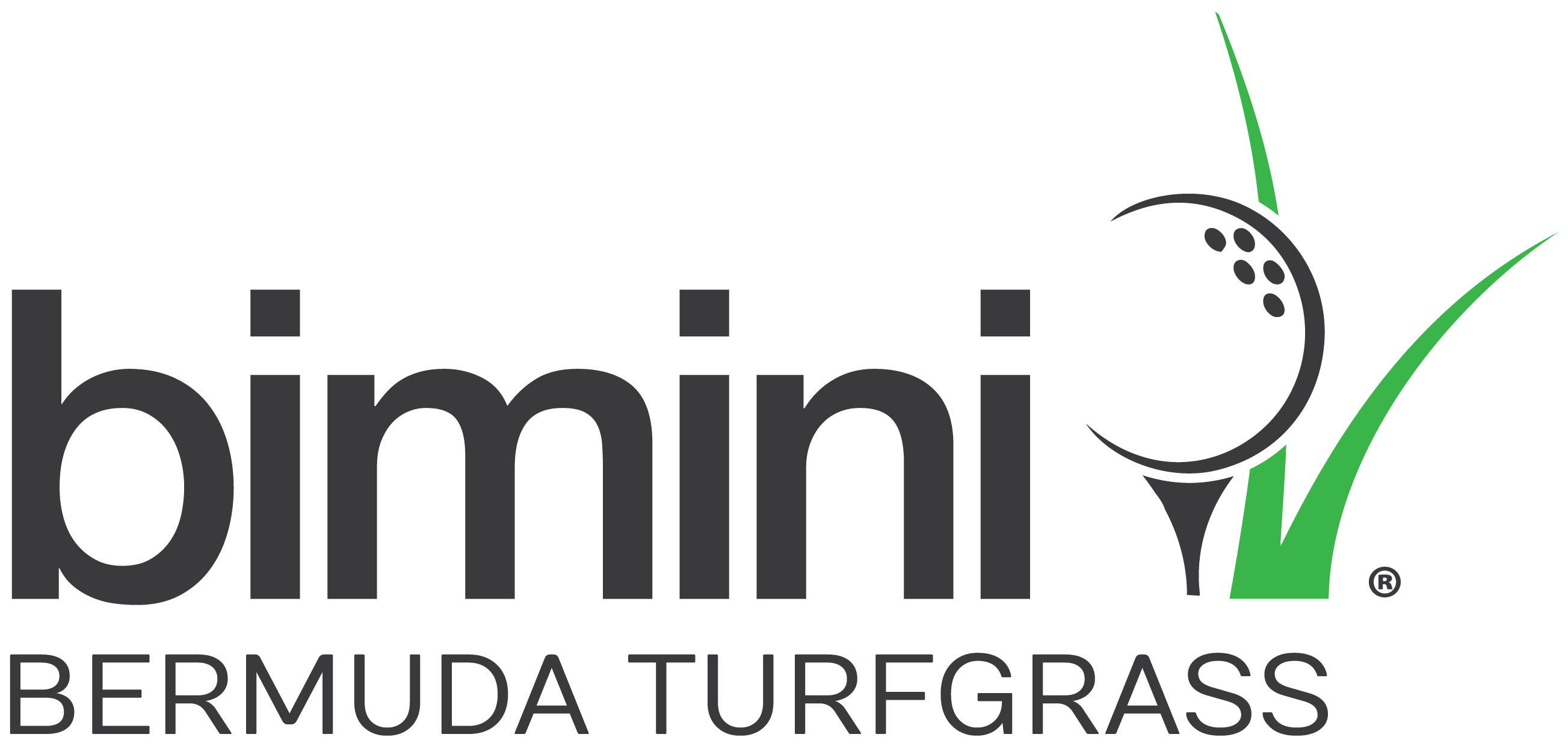 Bimini® Bermuda Turfgrass Florida | Star Turf Farms