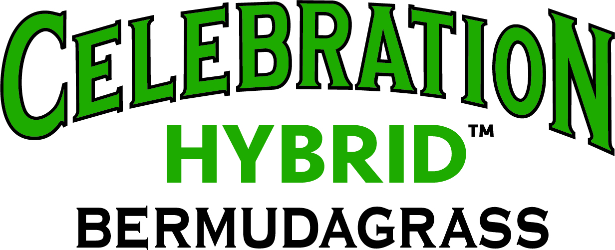 Celebration® Bermudagrass | Sod Types | Star Turf Farms